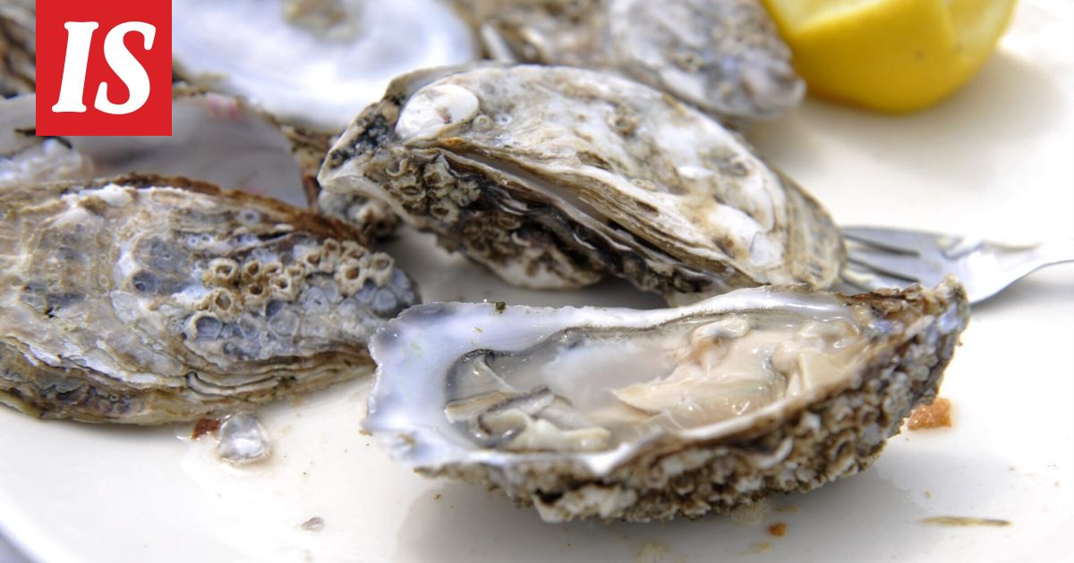 Osterit ovat aiheuttaneet yli sata ruokamyrkytystä Helsingissä - Ilta ...