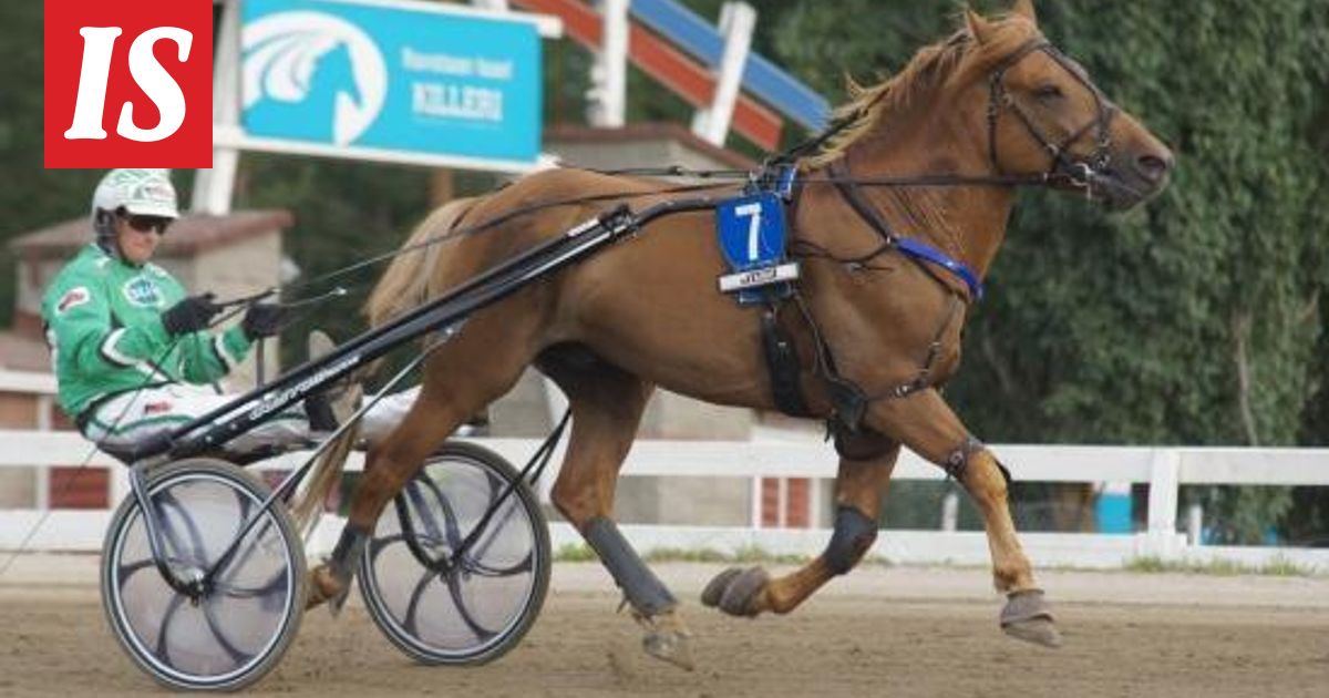 Ikäluokkatähden ravisävel hukassa: ”Ei se ole laukkuri, itseluottamus ...