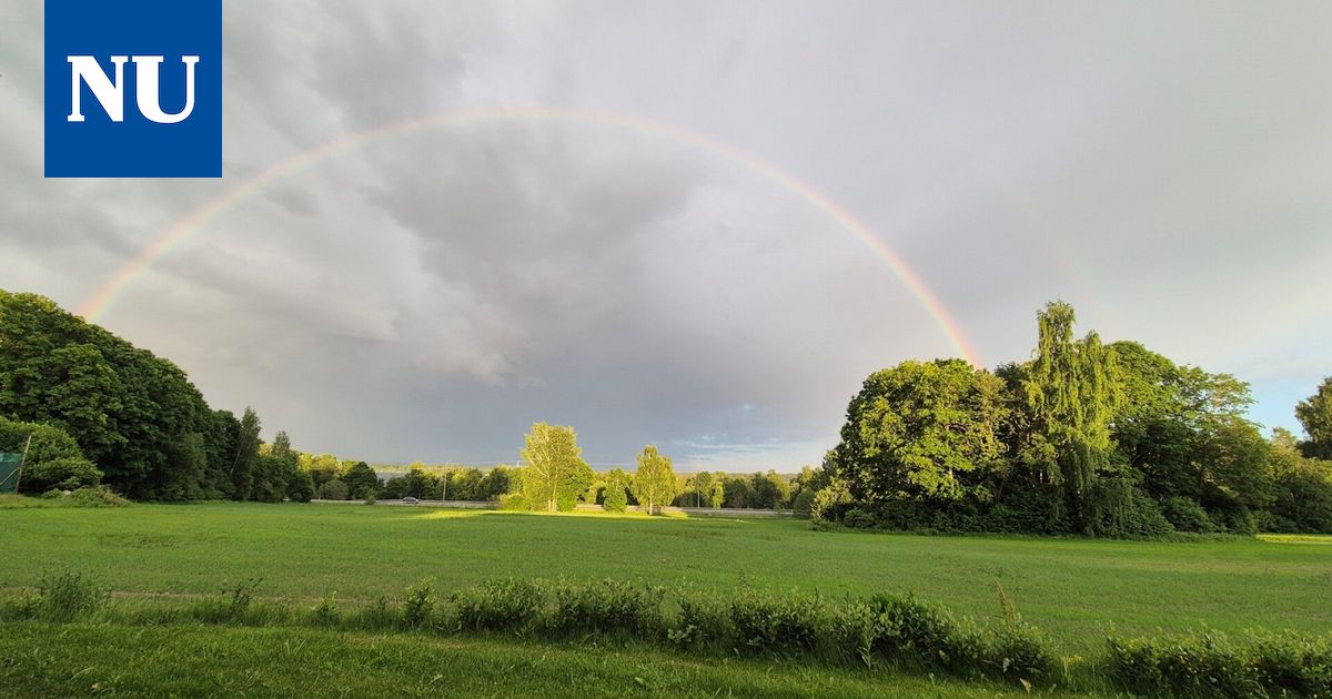 Juhannuksen kunniaksi: Katso täältä jättikokoelma Nokian Uutisten lukijoiden kauniin kesäisiä ...