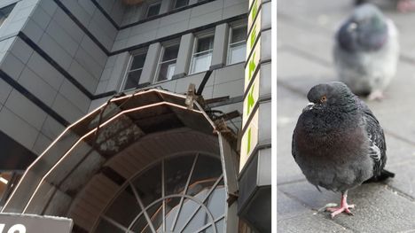 Raportti: Pulunkakka romahdutti kauppakeskuksen katoksen Kajaanissa ...