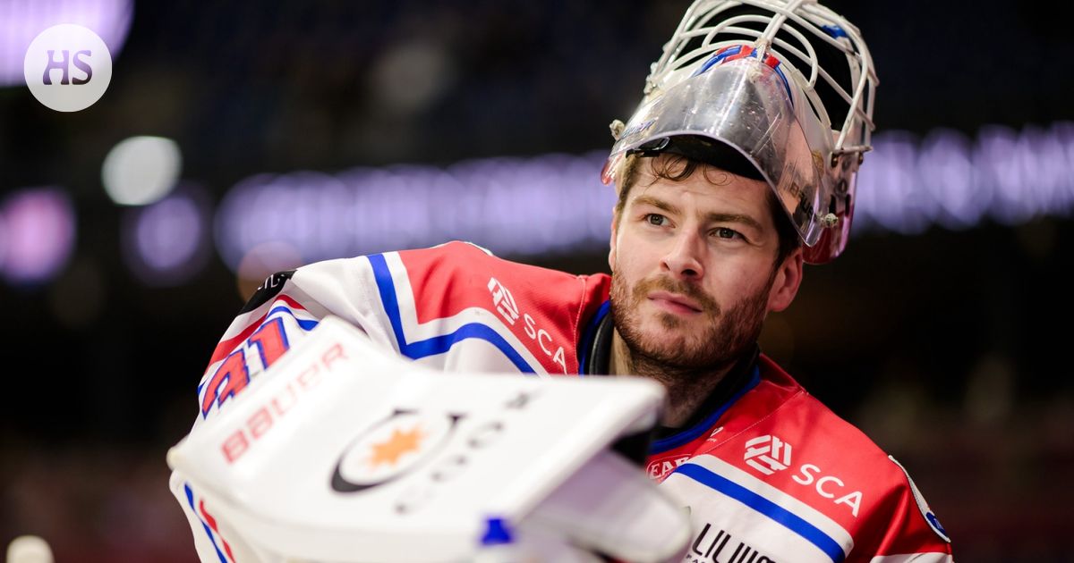 HIFK: Tim Juel maalivahdiksi | HS.fi