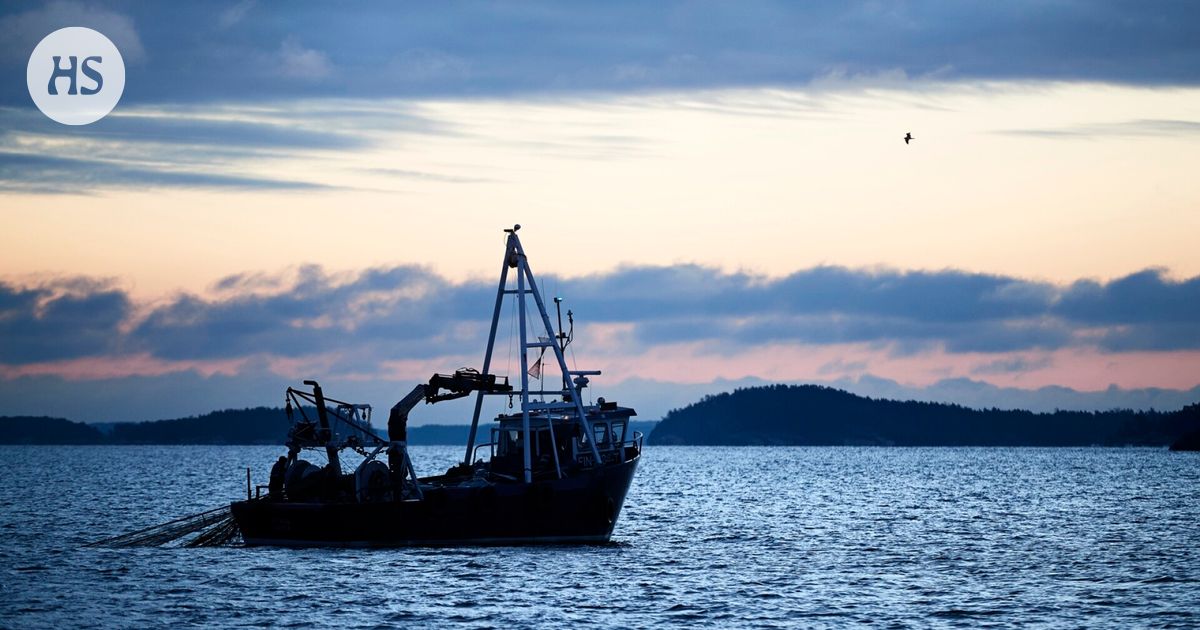Kaupallinen kalastus parantaa meren tilaa | HS.fi