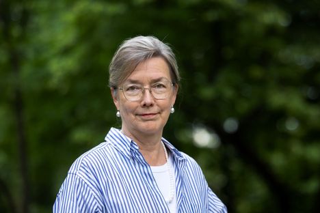 Suomen ei katsota toimineen väärin, sanoo YK-suurlähettiläs Palestiinan ...