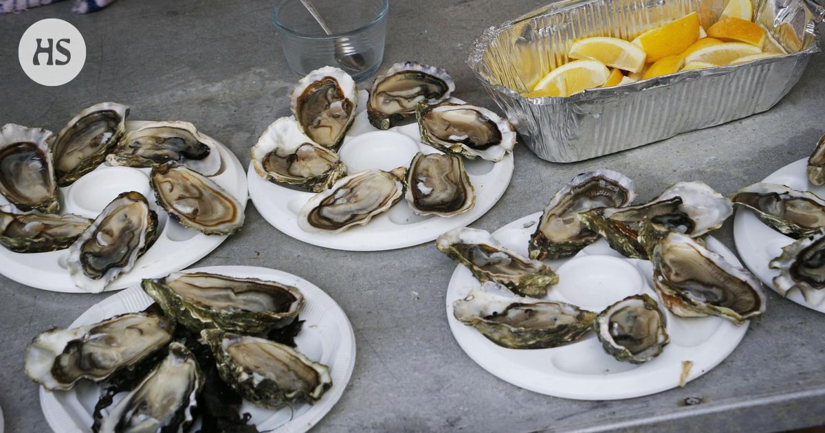 Rento after work -osteritrendi saapui Suomeen, mutta milloin osterin ...