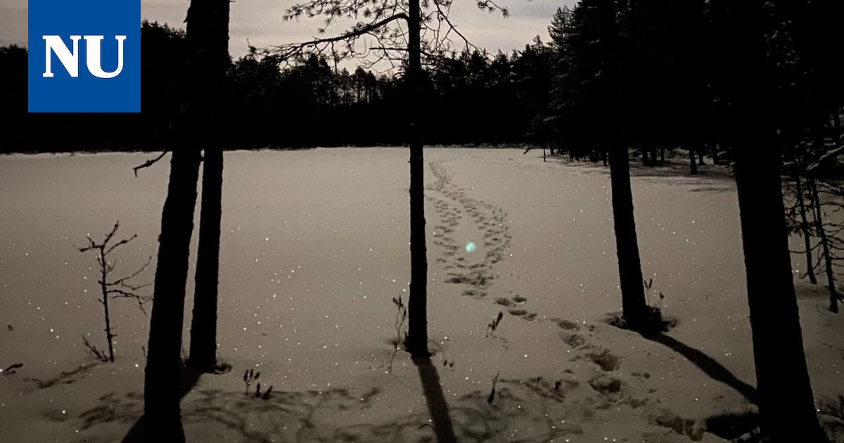 Nokian kaupunki satsaa Kivikeskuun, luvassa pitkospuita ja katselulavoja - Nokian Uutiset