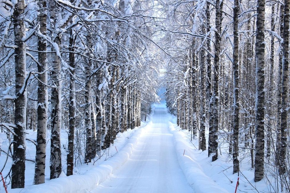 19 upean talvikuvan kooste – kireä pakkanen kietoi koko Suomen ...