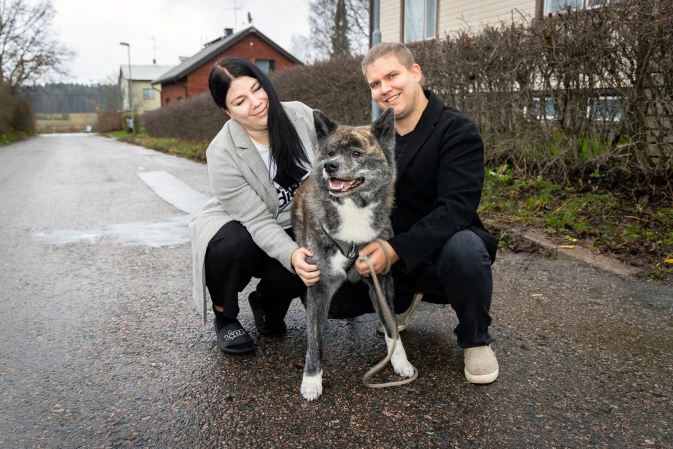 Koiran haukunta johti muistisairaan naisen pelastumiseen – Akita Dara ...