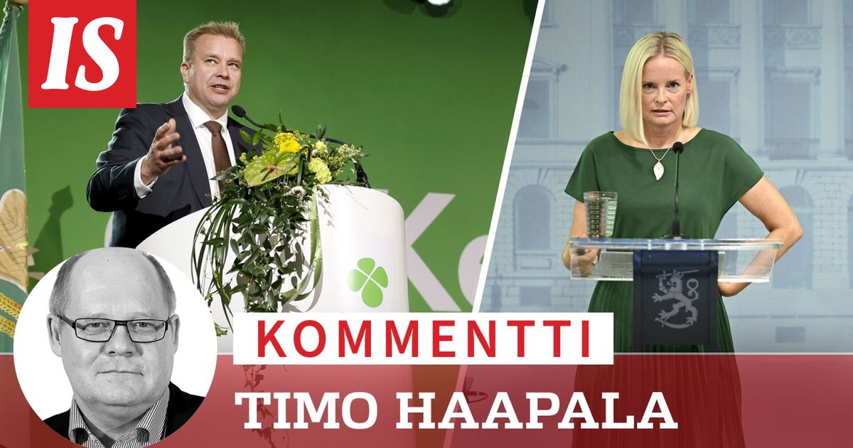 Timo Haapalan kommentti: Nouseeko kepu viimeinen risukasasta? Tätä ...