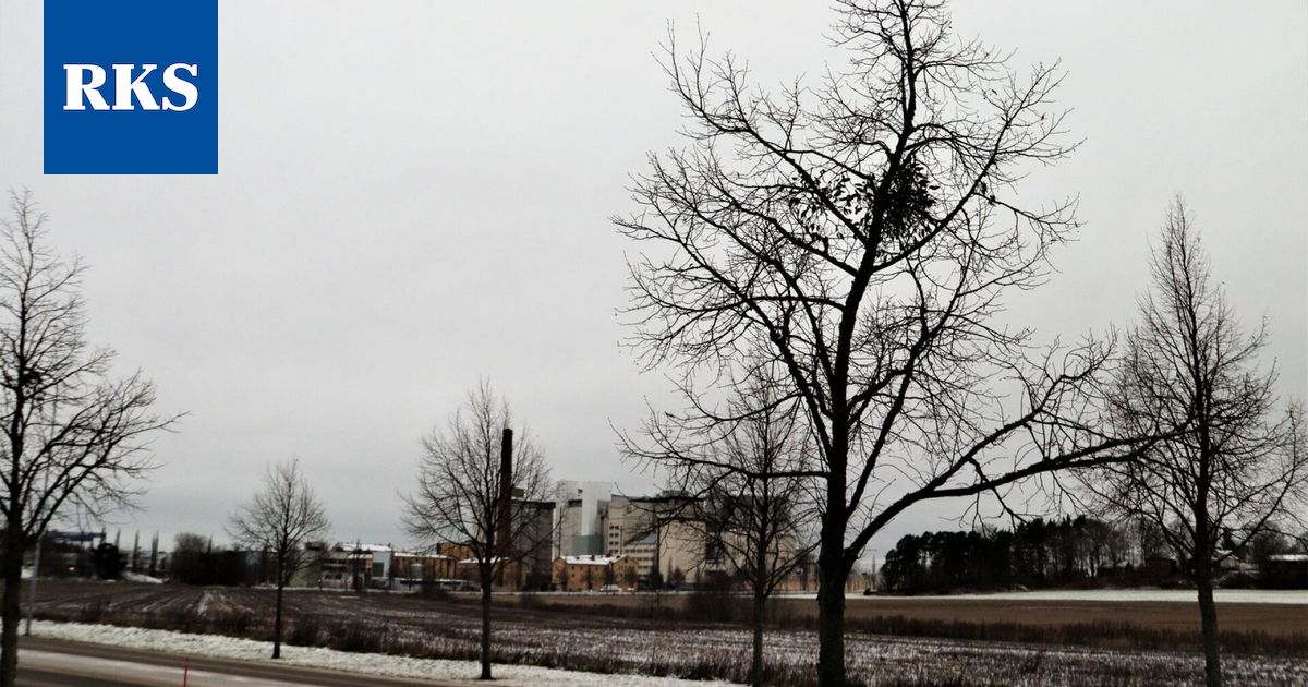 Mylly-Antin koulu siirtymässä Raision hallinnon alaisuuteen – Uusi ...