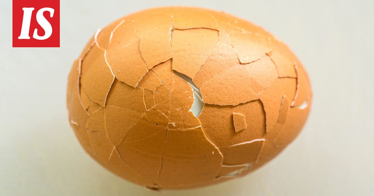 Kuinka kananmuna keitetään oikein? Kolmella konstilla muna säilyy ...