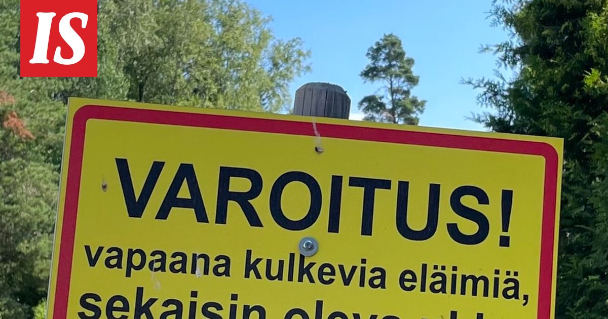 Erikoinen kyltti naurattaa Sastamalassa: "Varoitus! Vapaana kulkevia ...
