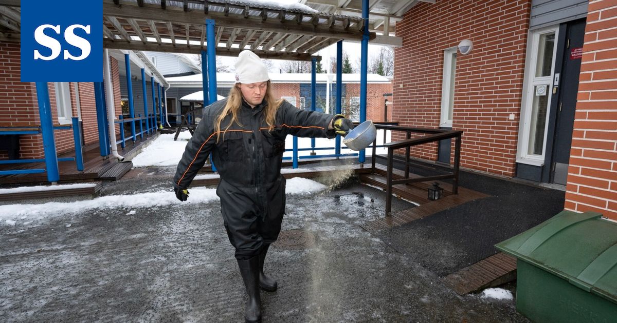 Erkka Vainikka, 32, teki kiinteistönhoitajan töitä 11 vuotta – vaihtoi ...