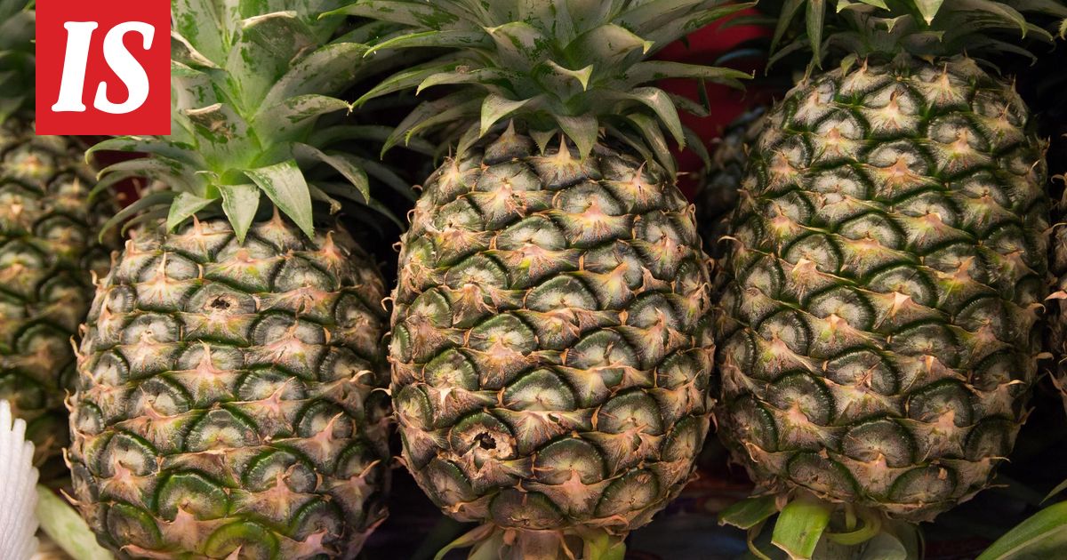 Olisitko tajunnut, että ananasta voi syödä näin yksinkertaisella ...