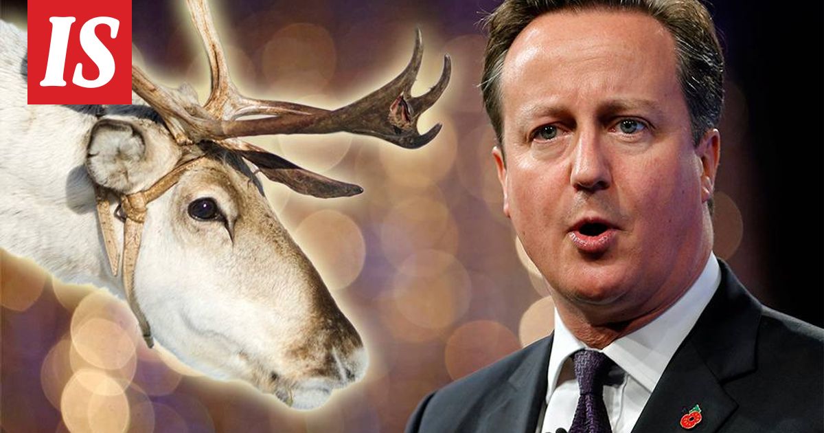David Cameronin syömä Suomi-ateria kauhistuttaa Britanniassa - Ilta-Sanomat