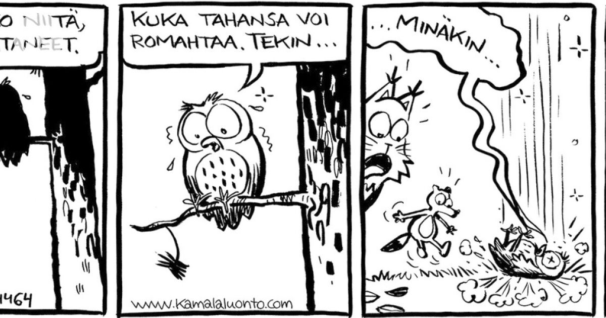 Kamala luonto | HS.fi