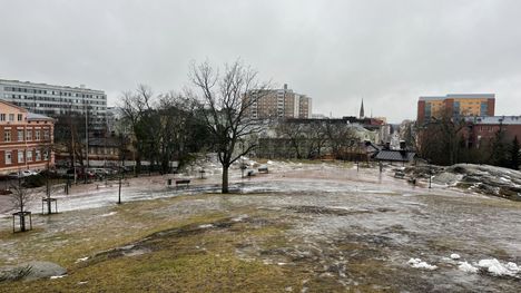 Turun keskustassa liikkuu ahma - Ilta-Sanomat