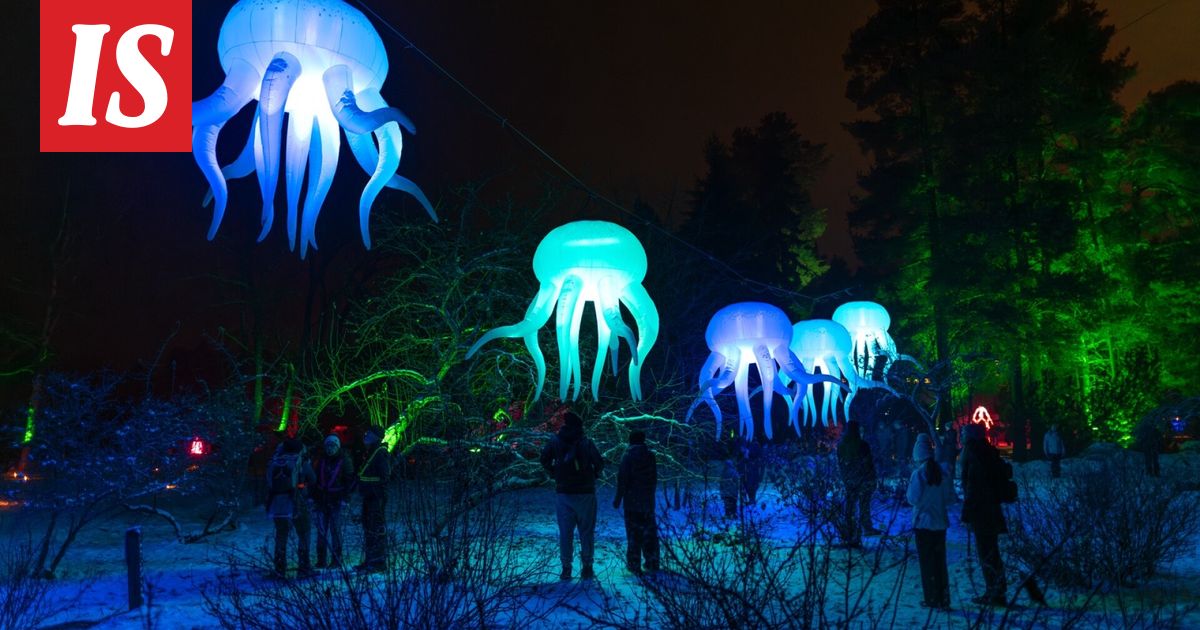 Tällainen on Valon polku 2025 - Ilta-Sanomat