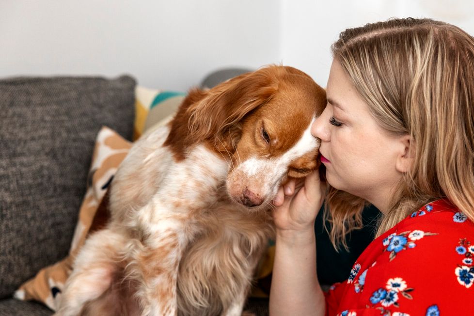 Rescue-koira Portugalista – Belle-koira sai uuden kodin Suomesta - Ilta ...