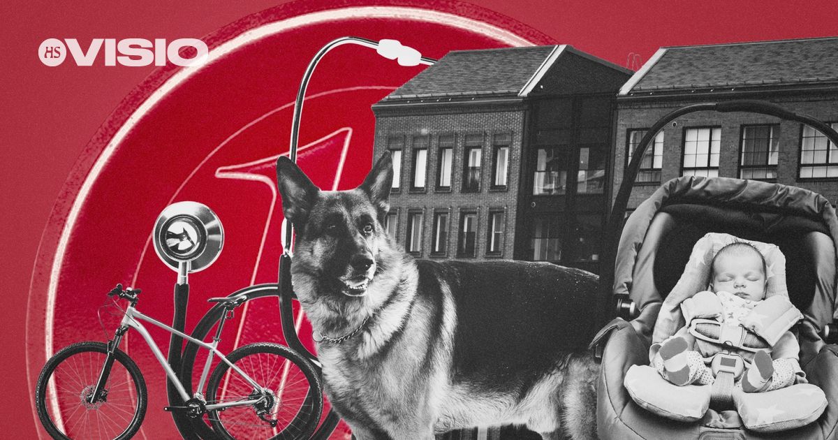 Selvitimme, missä on kalleimmat vakuutukset: Helsingissä rahaa palaa ...