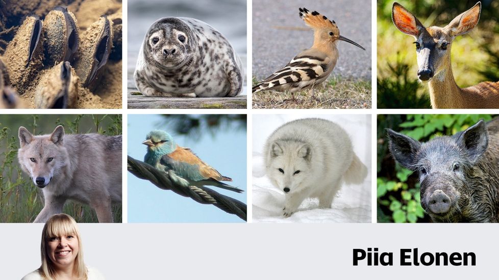 Eilisen lehtiä lukiessa valkenee, miten meitä kohta arvioidaan | HS.fi