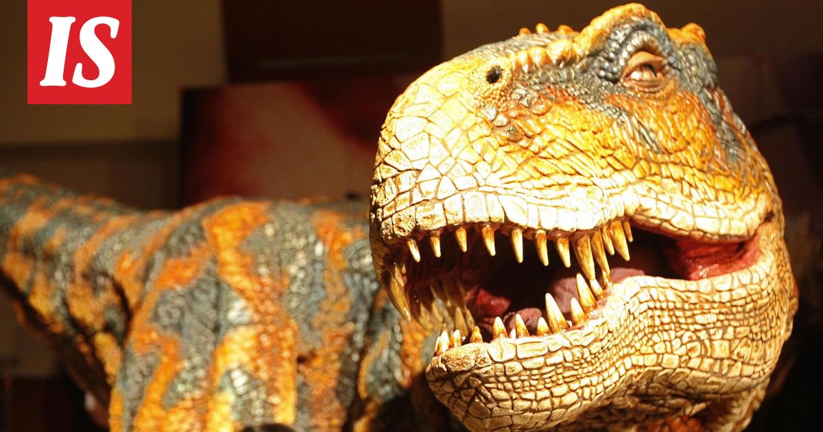 Maapallon pelätyin peto Tyrannosaurus rex oli hellä rakastaja – nautti ...