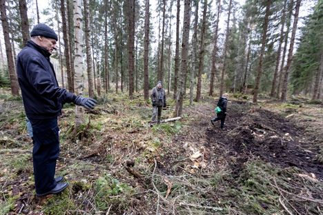 Mielenosoitukset hidastavat hakkuita Kangasalla