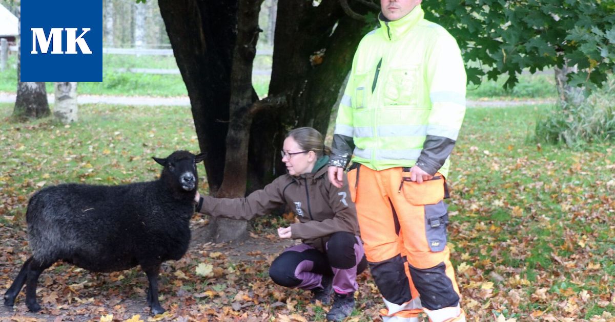 Kalastus ja rakkaus toivat rakennusyrittäjän Merikarvialle - Merikarvia ...