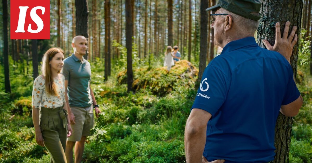 [MAINOS: Koskisen] Hoi metsänomistaja! Näin puistasi valmistetaan huipputuotteita – mikään ei ...