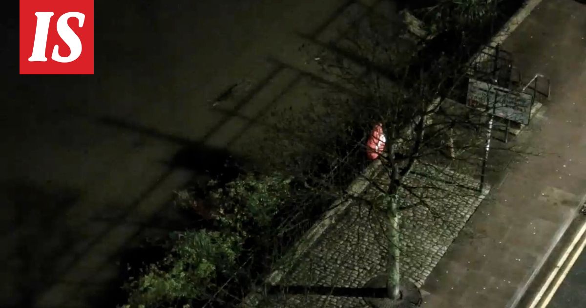 Kettu ja saukko kirmasivat Lincolnissa - Ilta-Sanomat