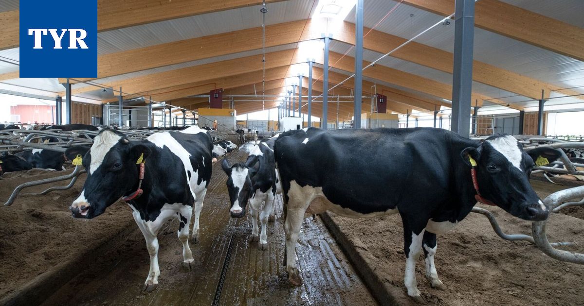 MTK-Vammala vaatii selvittämään, miksi Sastamalaan ei saada pysyviä ...