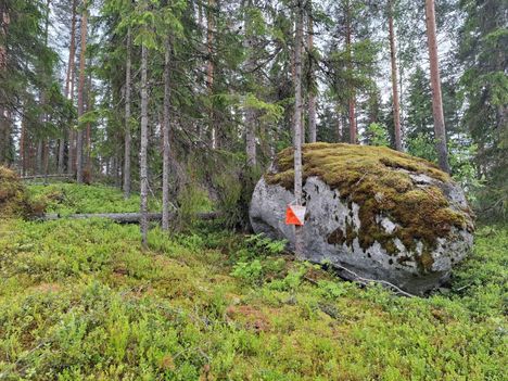 Suunnistus: Rastiviikko keskeytettiin myrskytuulen vuoksi - Ilta-Sanomat