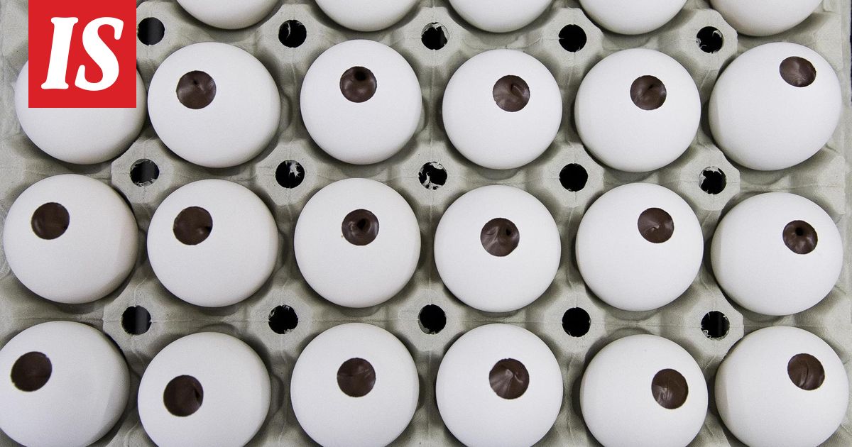 Näin syntyy pääsiäisen klassikko – kuvat tehtaalta: Mignon-muna on ...