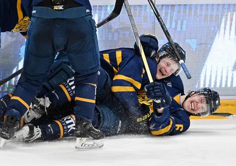 Lukko on U20-sarjan Suomen mestari - Satakunnan Kansa