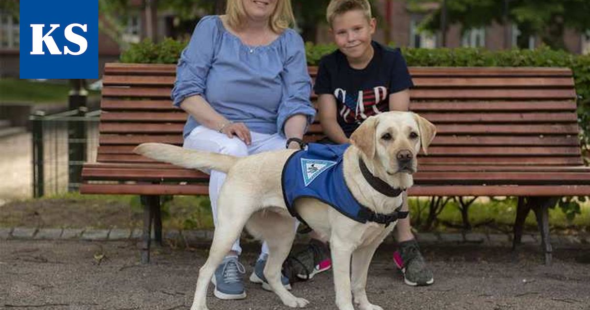 Aikuisiän diabetesta edeltää usein metabolinen oireyhtymä - tunnista ...